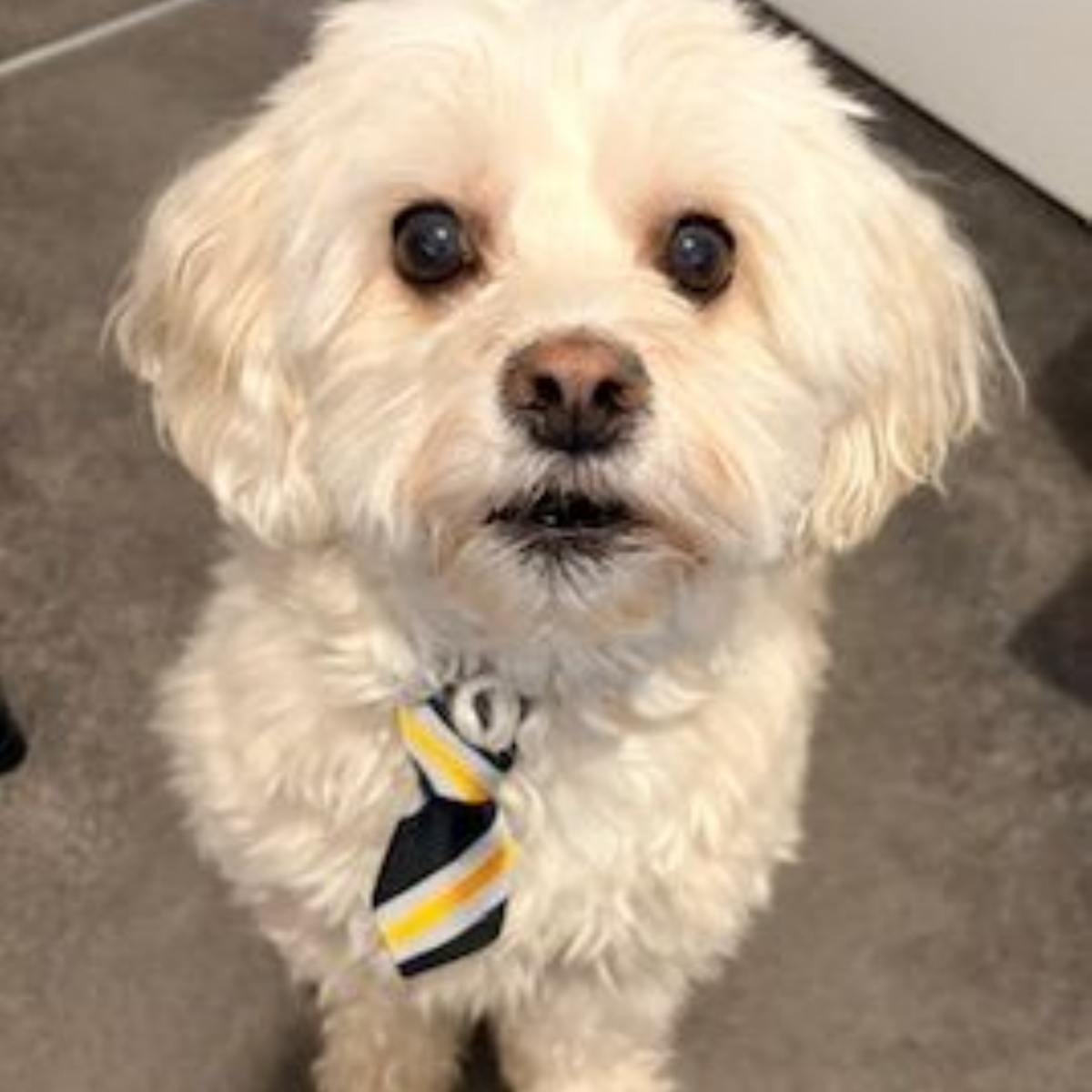 Weavers Academy - Meet Lily